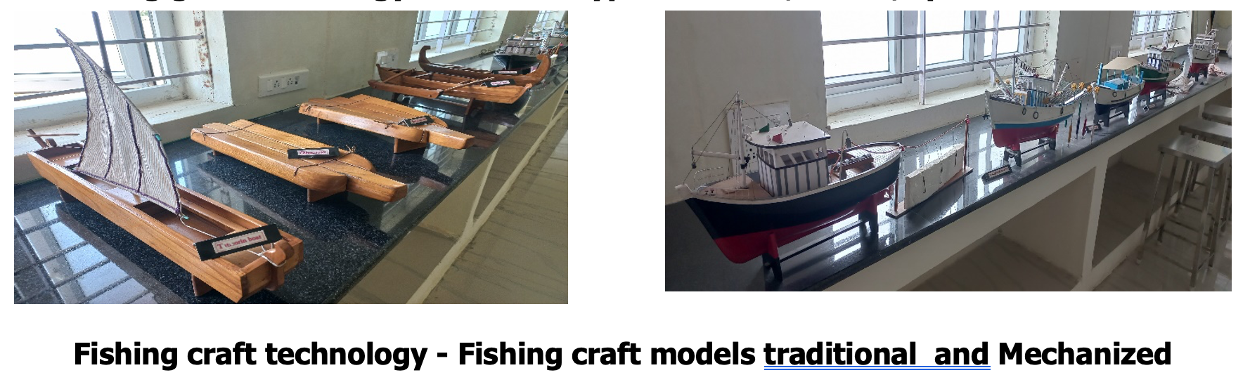 Dr.M.G.R. Fisheries College and Research Institute, Thalainayeru