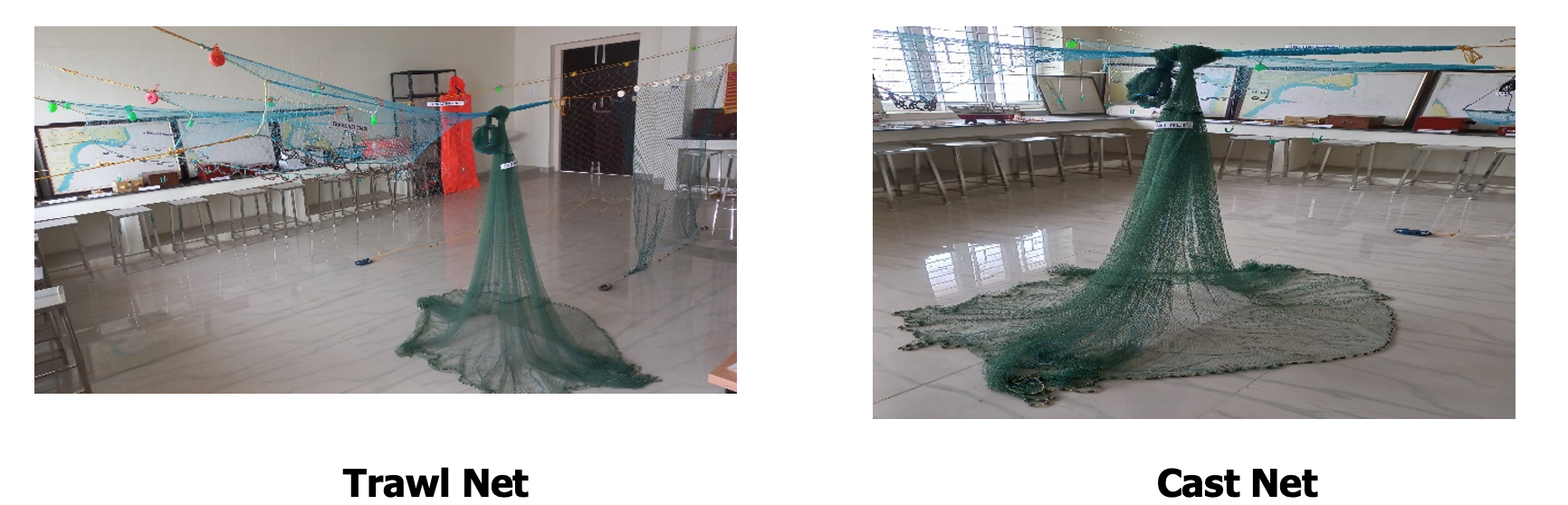 Dr.M.G.R. Fisheries College and Research Institute, Thalainayeru