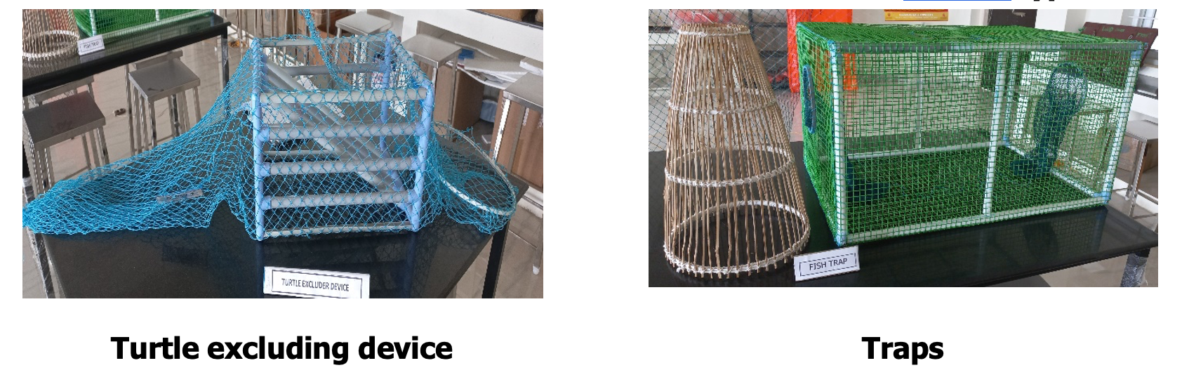 Dr.M.G.R. Fisheries College and Research Institute, Thalainayeru